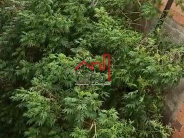 Lote Venda Paraíso Santa Efigênia