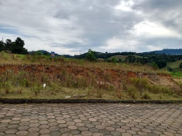 Lote Venda Presidente Getúlio SC Rio Ferro