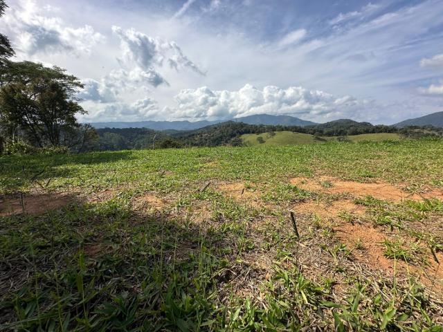 Lote Venda Santo Antônio do Pinhal SP Santa Cruz