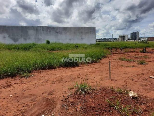 LOTE à venda, Verde Umuarama Uberlândia/MG