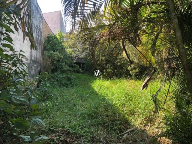 Lote à venda vila nair pindamonhangaba sp