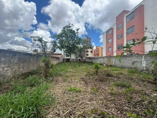 Lote Vila Rosa