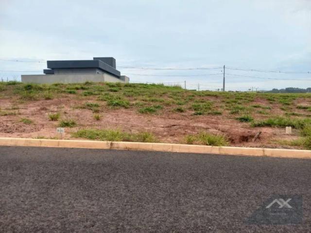 Lote Villa de Leon II