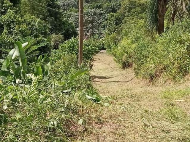 Lote vista mar a venda Praia da Fortaleza Ubatuba SP