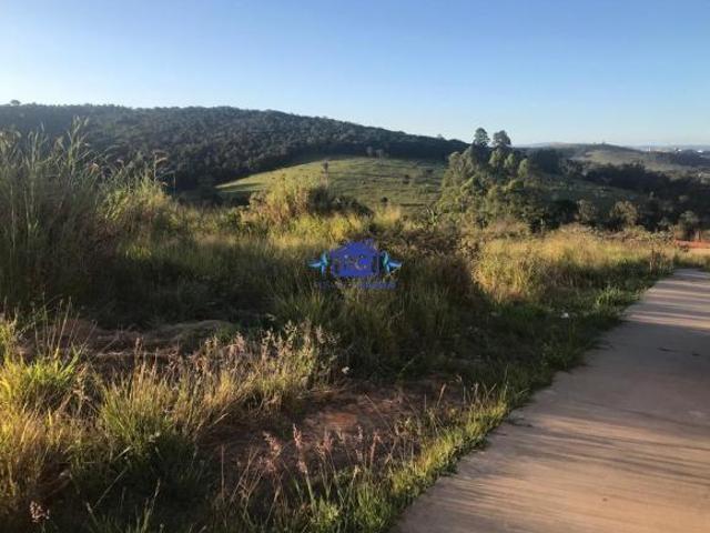 Lote 1000 m²