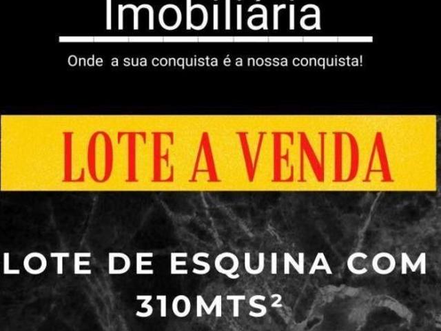 Lote