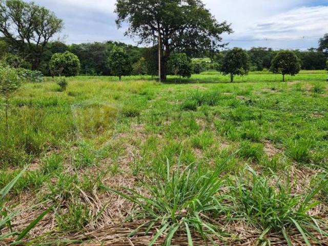Lote 1.007,60 m²