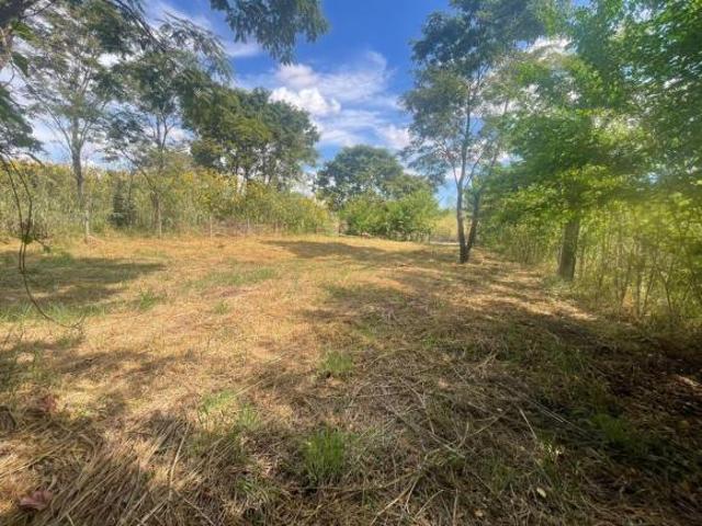 Lote 1.100m² no Lago Norte | Região Nobre | Próximo ao Privê I