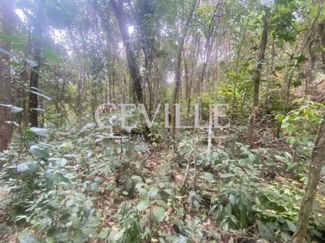 Lote 1.200 metros, área preservação permanente