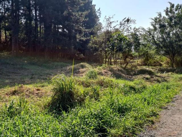 LOTE 1.420,00 m², plano, limpo e sem árvores grande porte!.