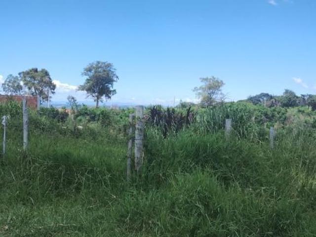 LOTE 250 M2