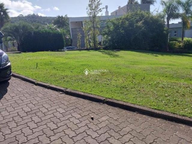 Lote 29