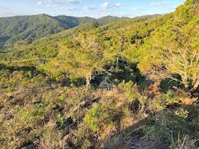 Lote 20,000 m2 dentro do Uemura Hotel Fazenda
