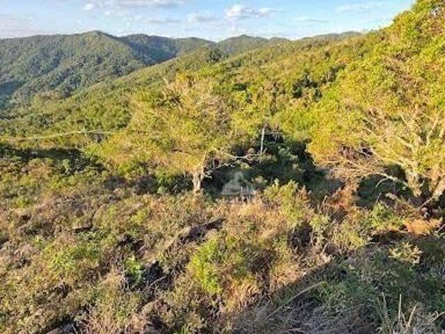 Lote 20,000 m2 dentro do Uemura Hotel Fazenda