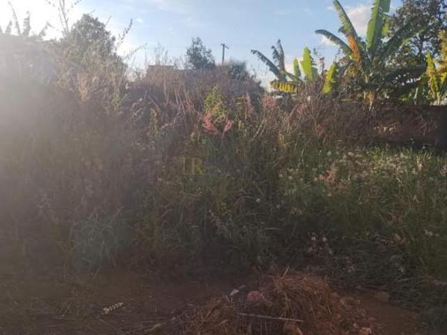 LOTE 360M2 TODO MURADO