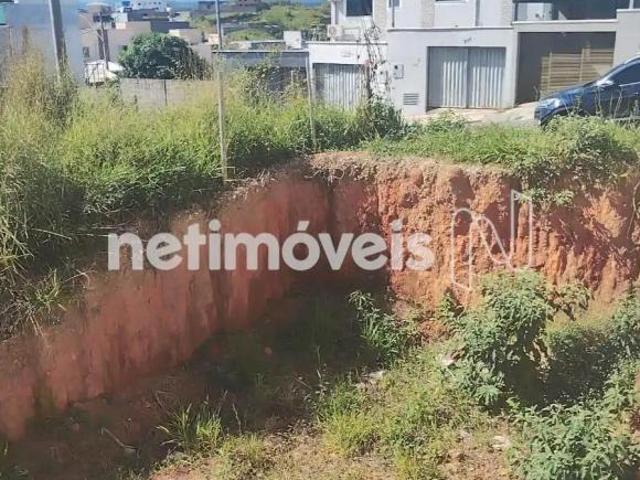 Lote 360m² no Novo Centro