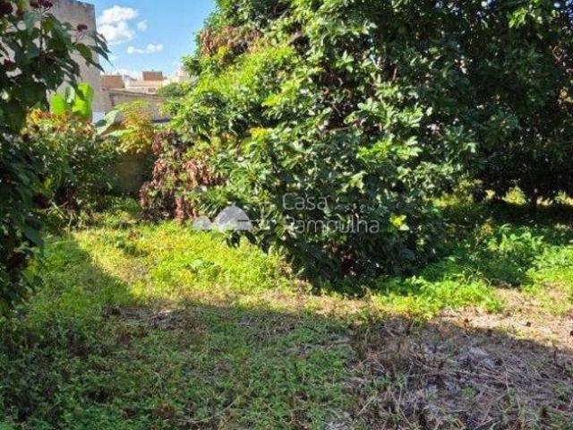 Lote 360m Santa Amélia