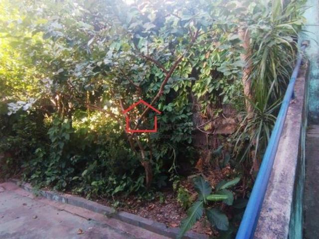 Lote 365 m² Sagrada Familia em BH
