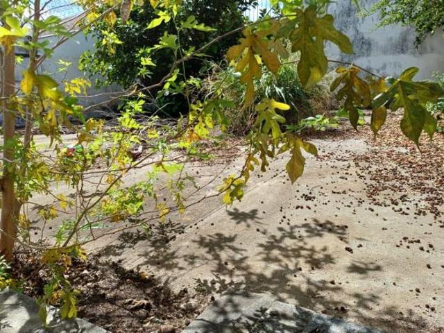 Lote 310m² por R$645.000,00 Sagrada Família