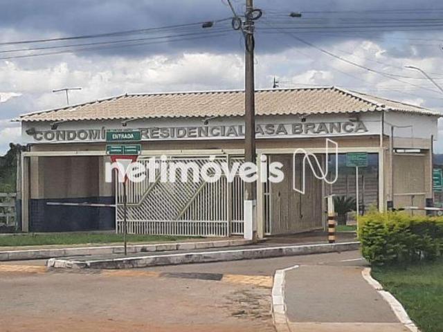 LOTE 3.000 M² RESIDENCIAL ASA BRANCA BR 060