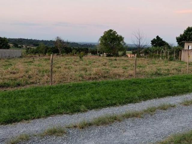 Lote