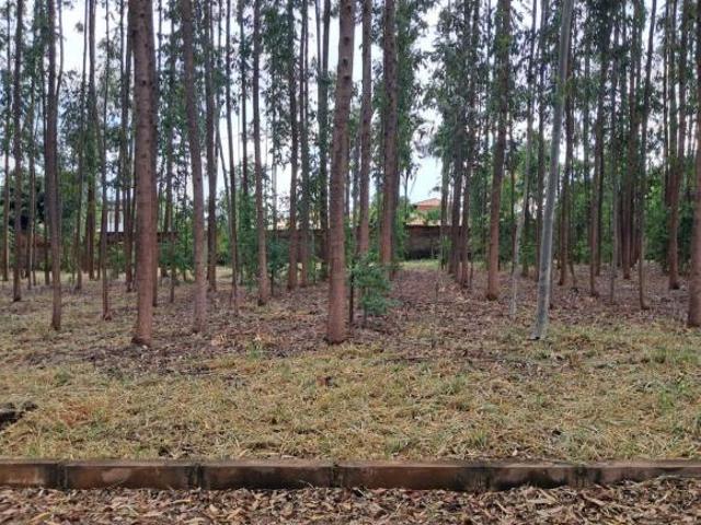 Lote 431m2 na Colônia Agrícola Vereda da Cruz