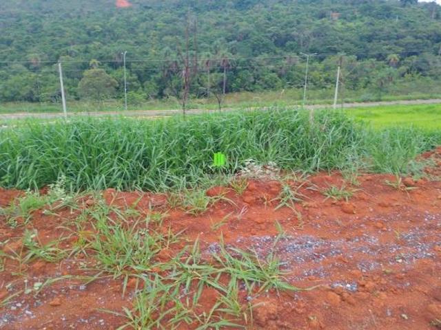 Lote 439 m²