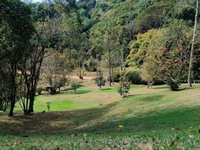 Lote 5000m² Santo Antônio do Pinhal | Venda Exclusiva