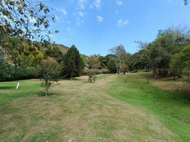 Lote 5000m² Santo Antônio do Pinhal | Venda Exclusiva