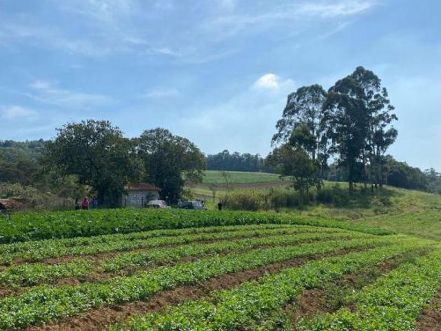 Lote 500m² em Ibiúna com condições imperdíveis