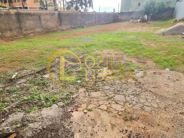 Lote 740m² nascente com 20m de frente 100% plano murado com portão condomínio rua 04 vicente pires
