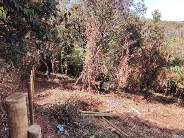 LOTE 975 M² EM JUATUBA BAIRRO VEREDAS DA SERRA