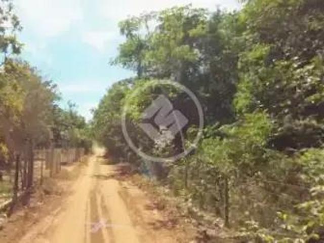 Lote 992,18m² Rua Gongos Pirenópolis GO codigo: 331419