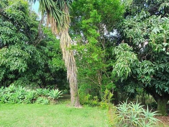 Lote/casa no Condomínio Jardins de Petrópolis, em Nova Lima/MG
