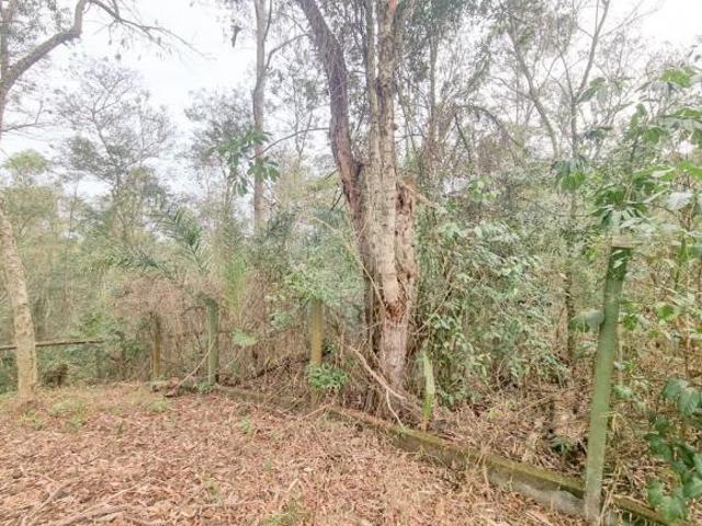 Loteamento à venda em Caixa D´água SP