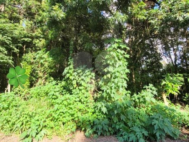 Loteamento à venda em Canjica terra preta SP