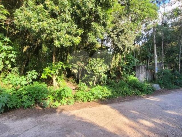 Loteamento à venda em Canjica terra preta SP