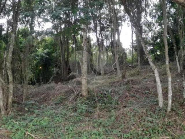 Loteamento à venda em Jardim peri SP