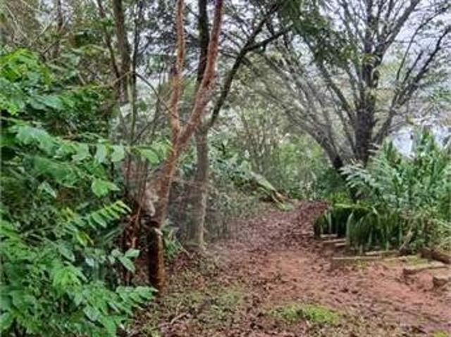 Loteamento à venda em Roseira SP