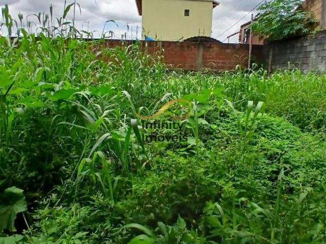 Loteamento à venda no bairro Minaslândia P Maio Belo Horizonte/MG