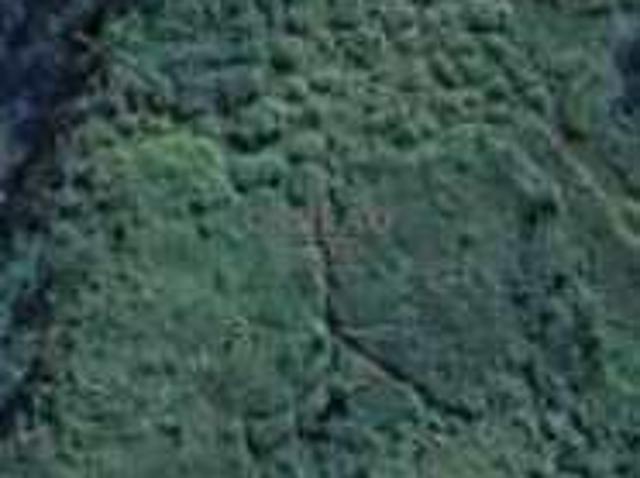 Loteamento, Agenor de Campos, Mongaguá R$ 350 mil, Cod: 353776
