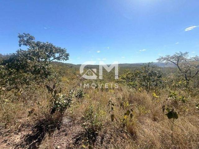 LOTEAMENTO / ÁREA 50 HECTARES / DF 205 LESTE / ESCRITURADA / 61 3595 1212