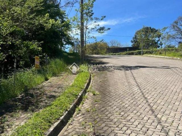 Loteamento Bosque das Araucárias Linha Imperial