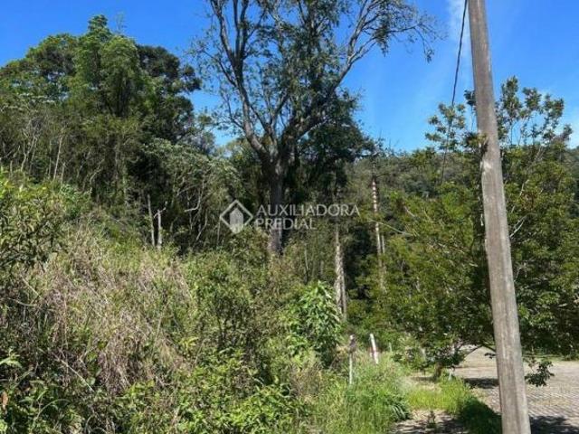 Loteamento Bosque das Araucárias Linha Imperial