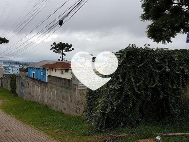 Loteamento Comercial Pineville Pinhais PR Área Total: 3441,08 m²