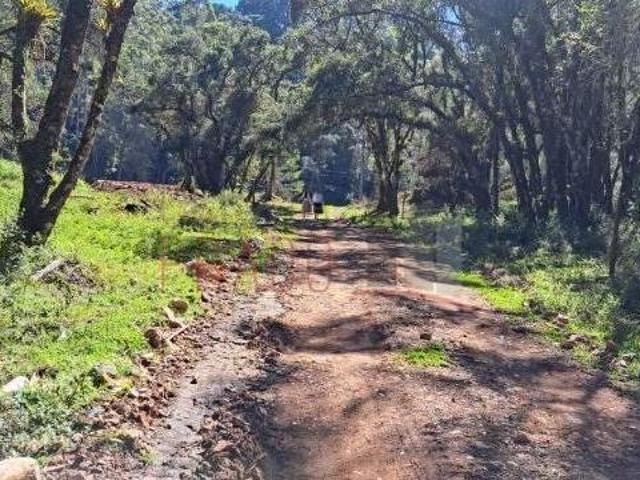Loteamento e Condomínio para venda em Monte Verde, Camanduca