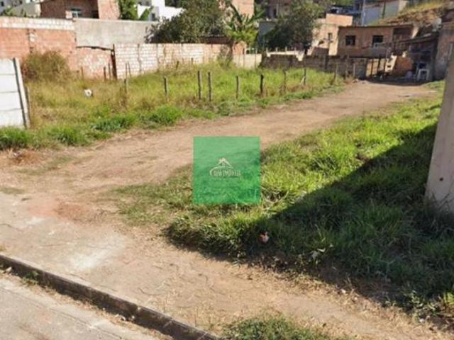 Lotem, investimento, bom negócio