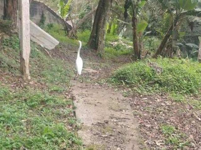 Lotes à venda na Borda do Campo em São Bernardo do Campo SP