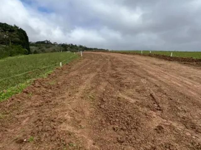 Lotes a venda na promoção