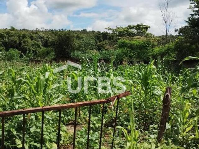 Lotes à Venda em Caldas Novas – Realize Seu Sonho de Morar Bem!